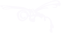 Video Production Costs | Dragonfly