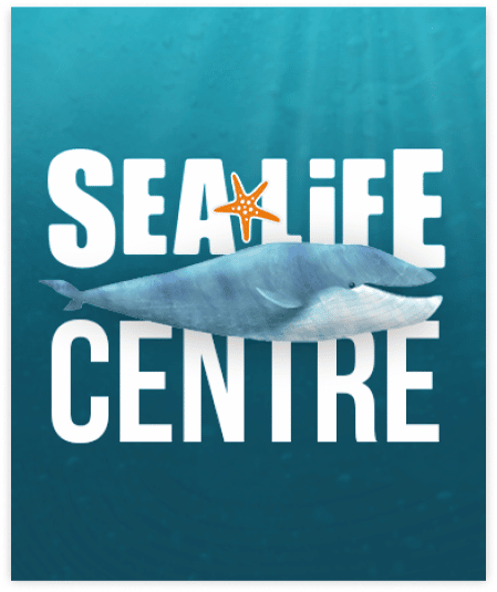 Video Campaign Case Studies | Video's By Dragonfly