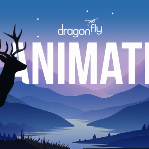 2D Animation - Dragonfly, A Video Production Company In London