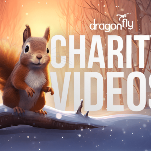 Charity Video Production - Dragonfly, A Video Production Company In London