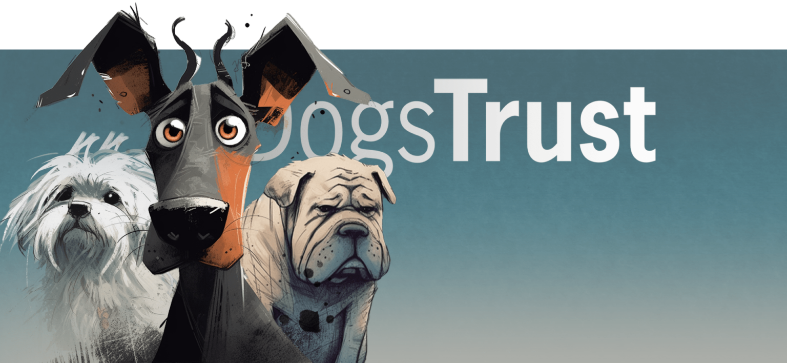 Charity Videos | Awareness & Fundraising Videos