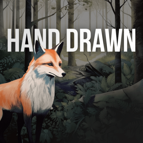 Hand-Drawn Animation | Traditional Animation Styles